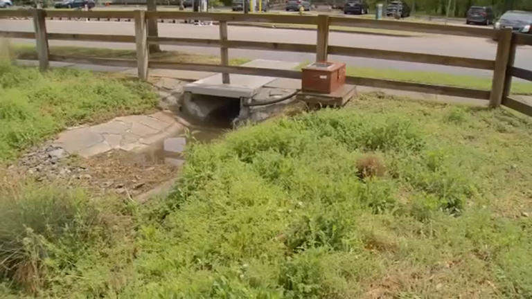 Raleigh leading way on promoting stormwater protection, here's what ...