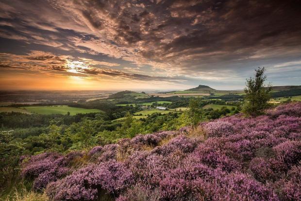 North Yorkshire Moors spring walk among Britain's greatest - a 'grand ...