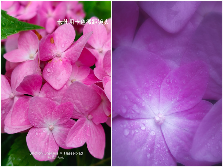 Budget-Friendly Bass Fishing Rods That Perform Like High-End Gear