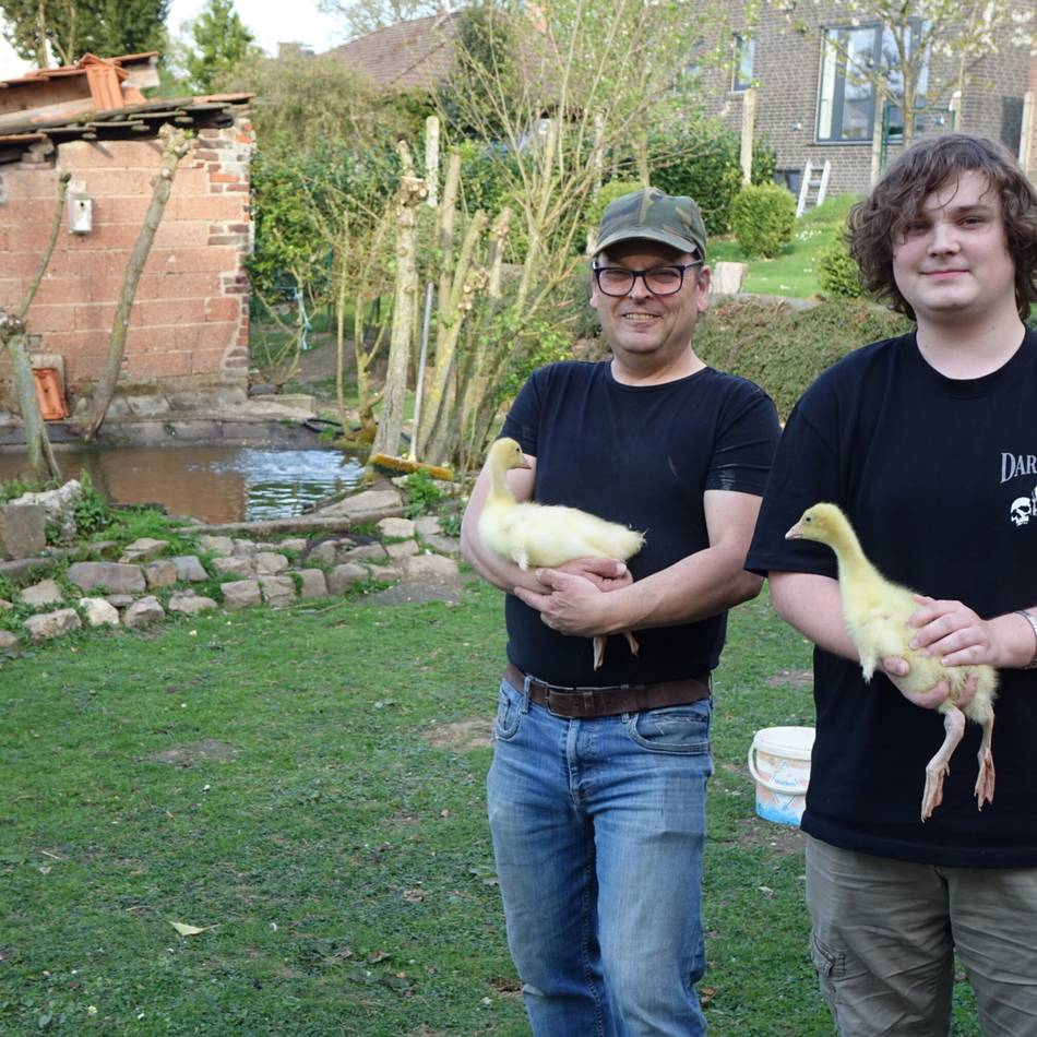 Das kleine Osterwunder der Lockengänse