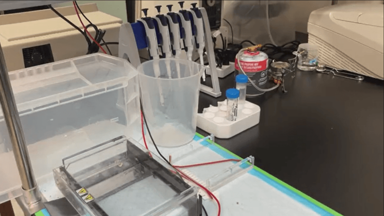 PA Innovation Program aims to boost life sciences with $50 million ...