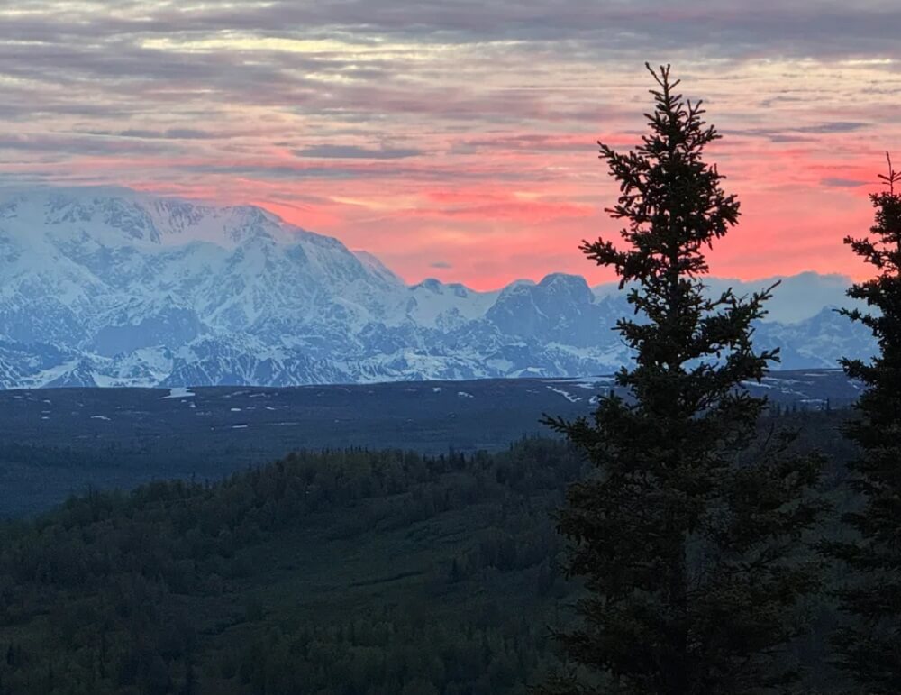 Remote resident shares stunning photos of off-grid home nestled in ...