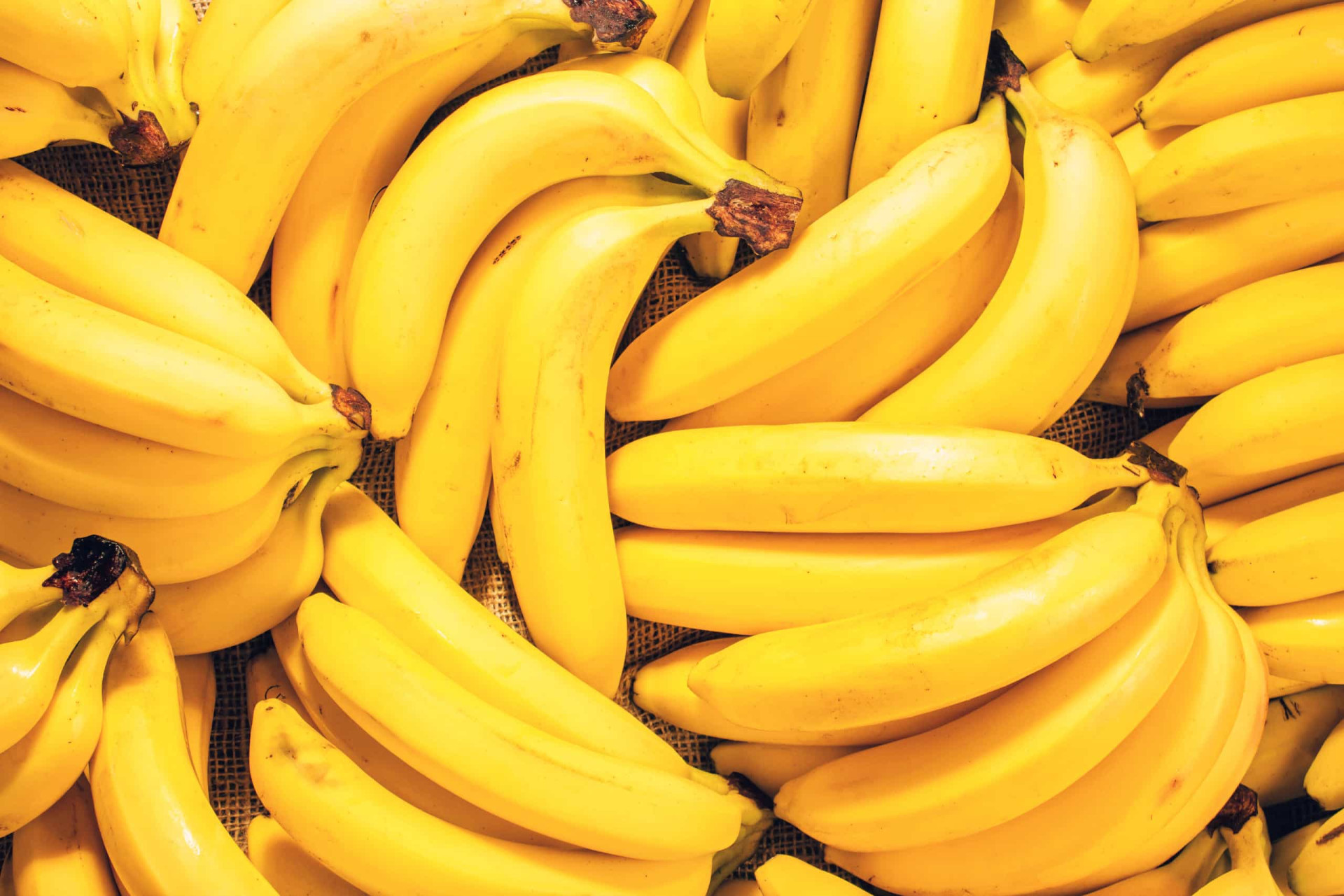 Astonishing food facts that will shock you