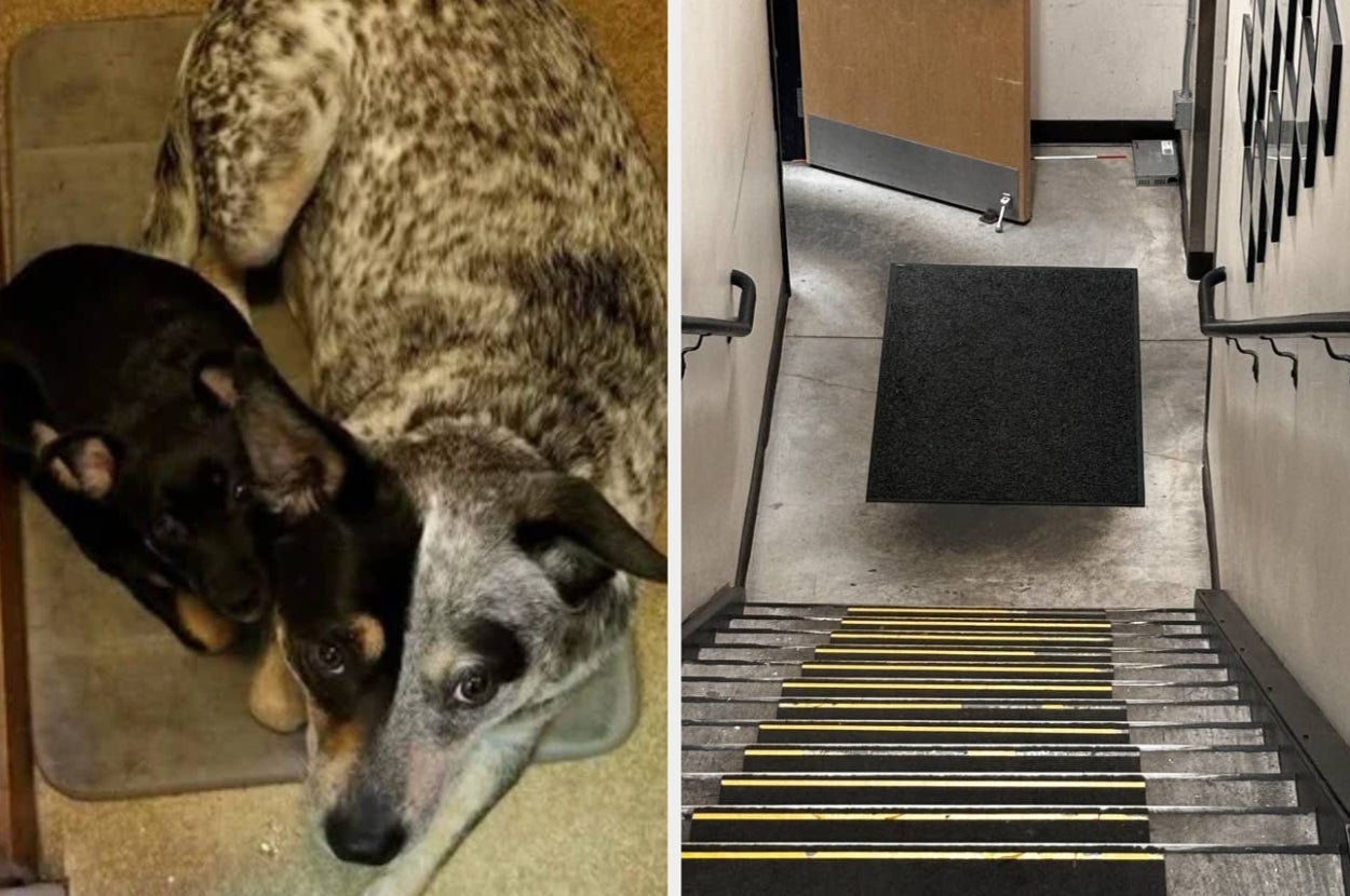 13 Mind-Melting Photos From This Week That Will Make Your Brain Short-Circuit