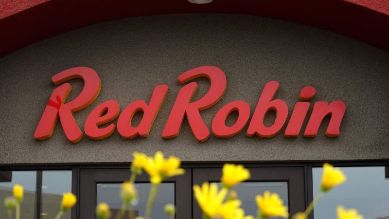 ‘So annoying’: Red Robin apologizes after website crashes during $20 ...