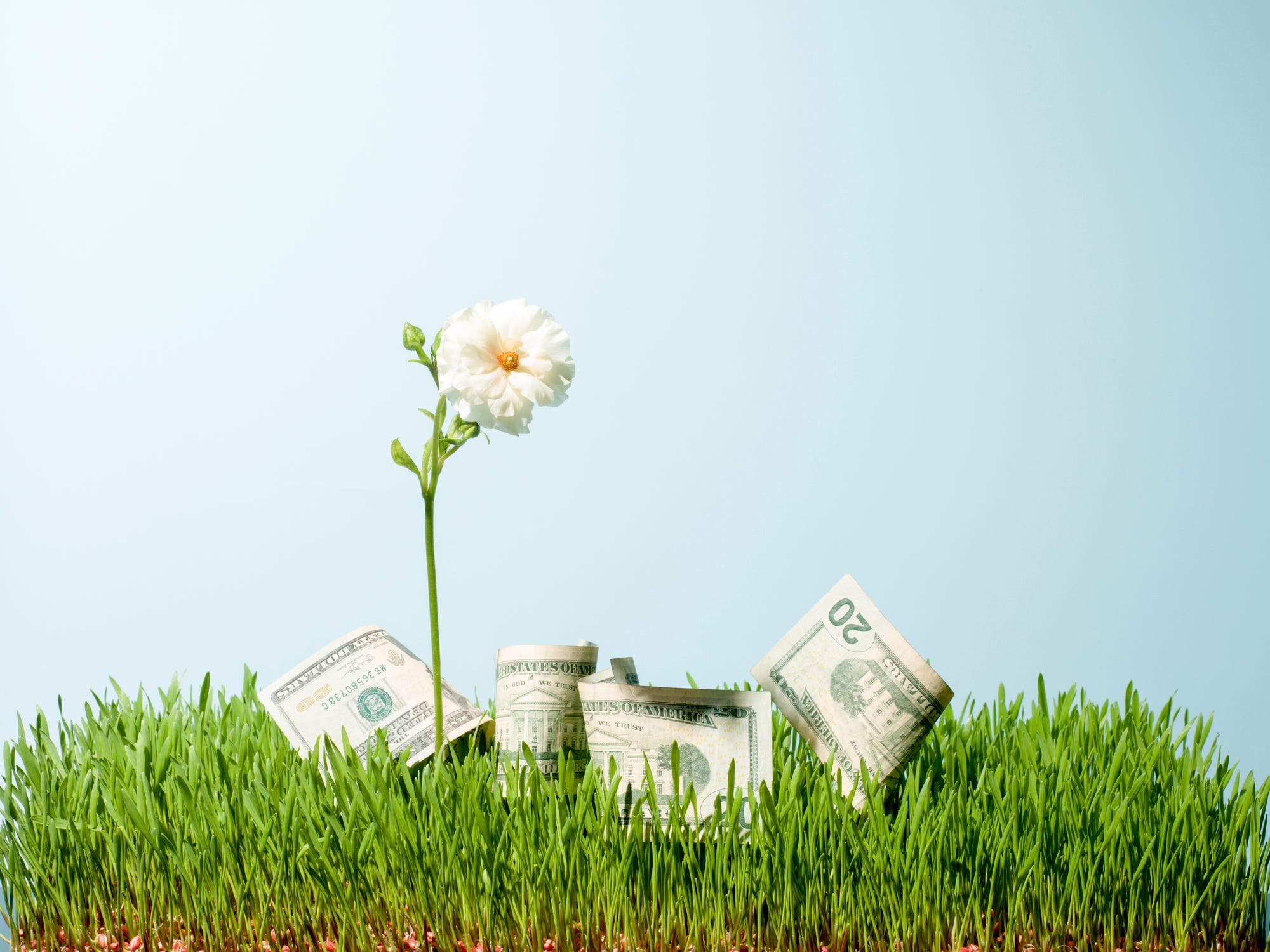 Spring Cleaning Isn't Just for Your House. 7 Expert Tips to Tidy Up ...