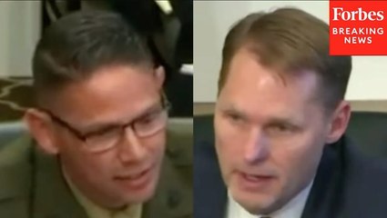 Michael Guest Questions Military Official About Improvements To Service ...