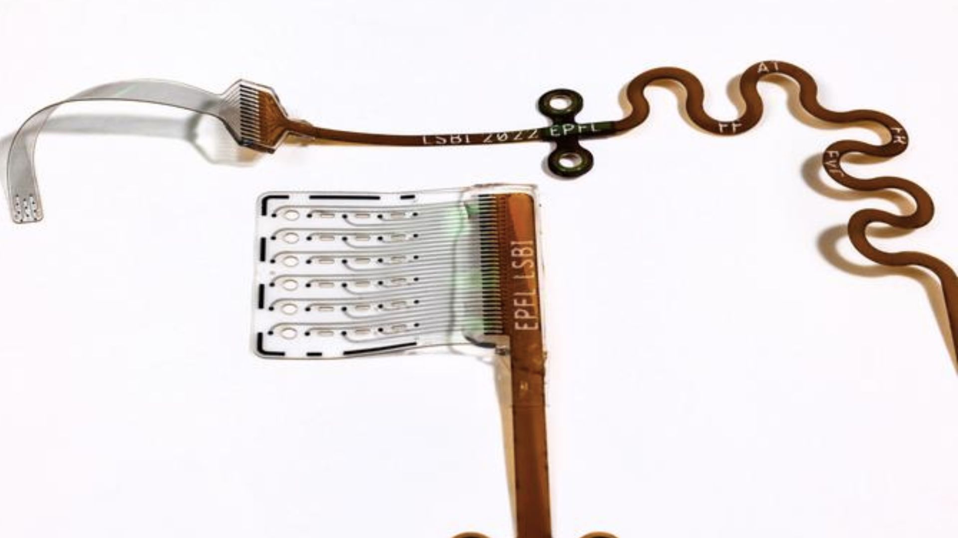 High-resolution hearing delivered using latest flexible auditory ...