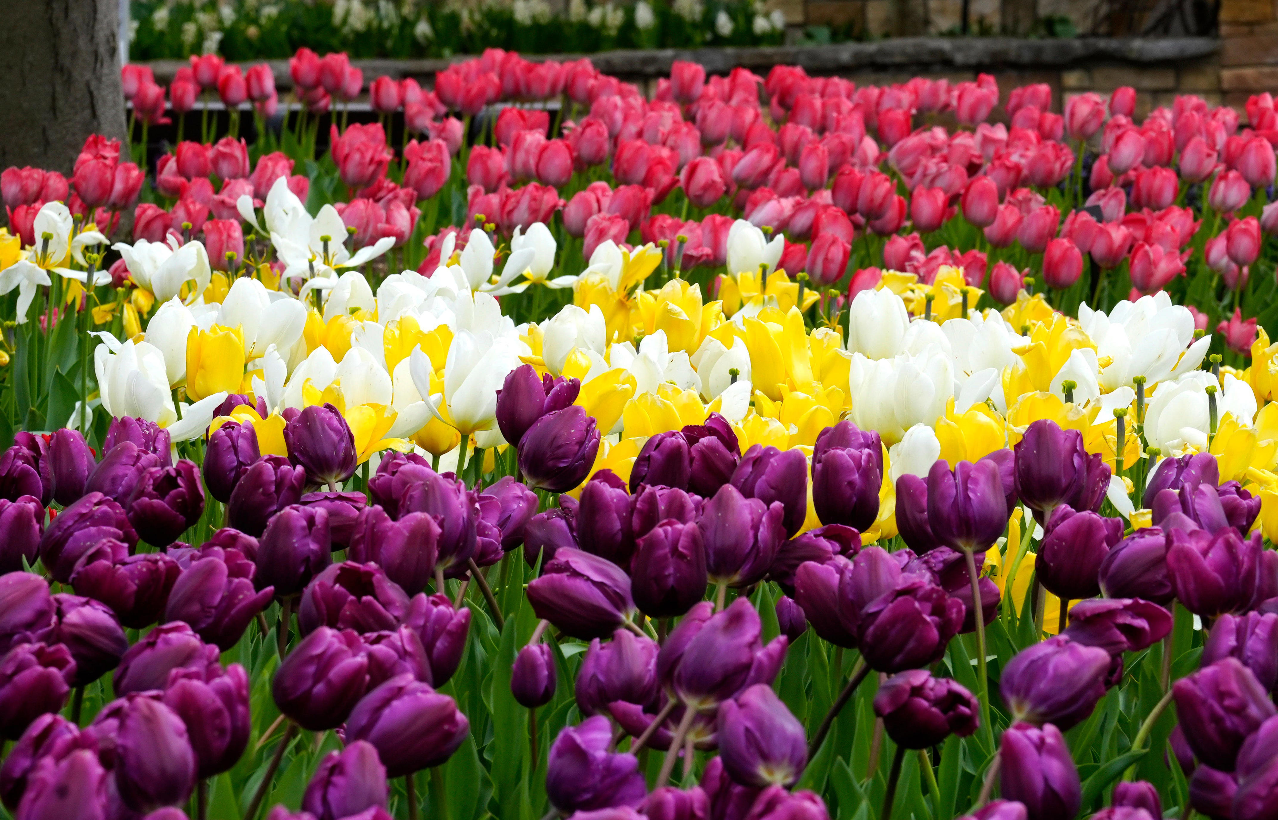 Is it spring yet? When spring starts, what the weather could look like