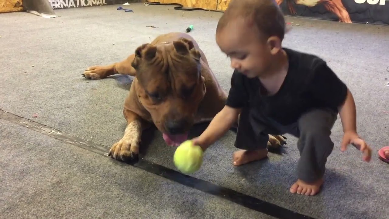 Then And Now: Incredible DDK9 Kids Through The Years