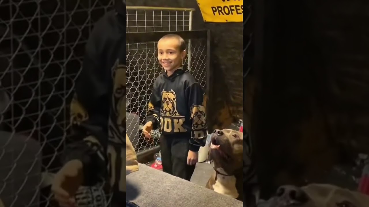 Always Be Prepared for Anything with Your Dog