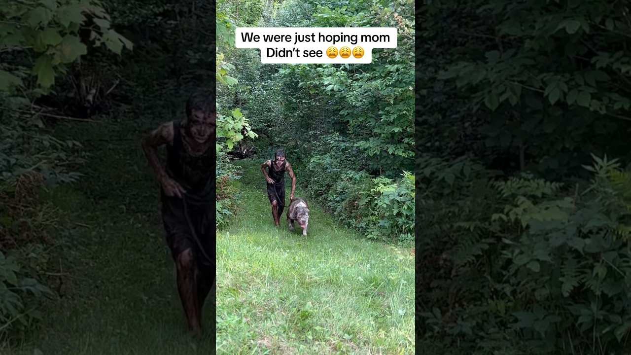Dog drags boy through mud—mom’s reaction is priceless
