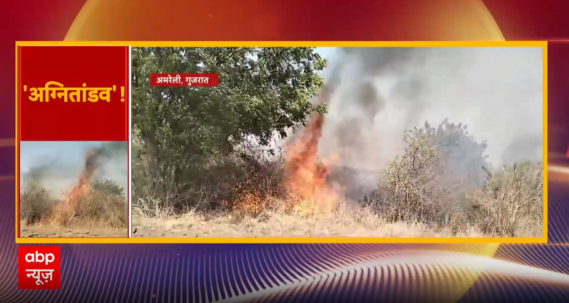 Breaking: Forest Fires Break Out in Parts of India Amid Intense ...