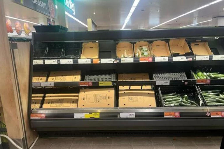 Farmers slam new vegetable rules for shoppers at Aldi, Asda, Sainsbury ...