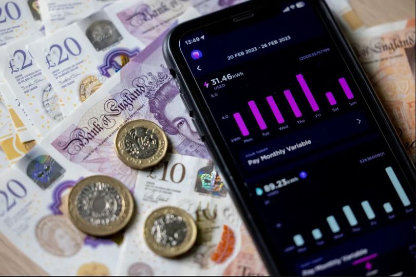 Octopus issues warning to millions of energy customers as service 'axed ...