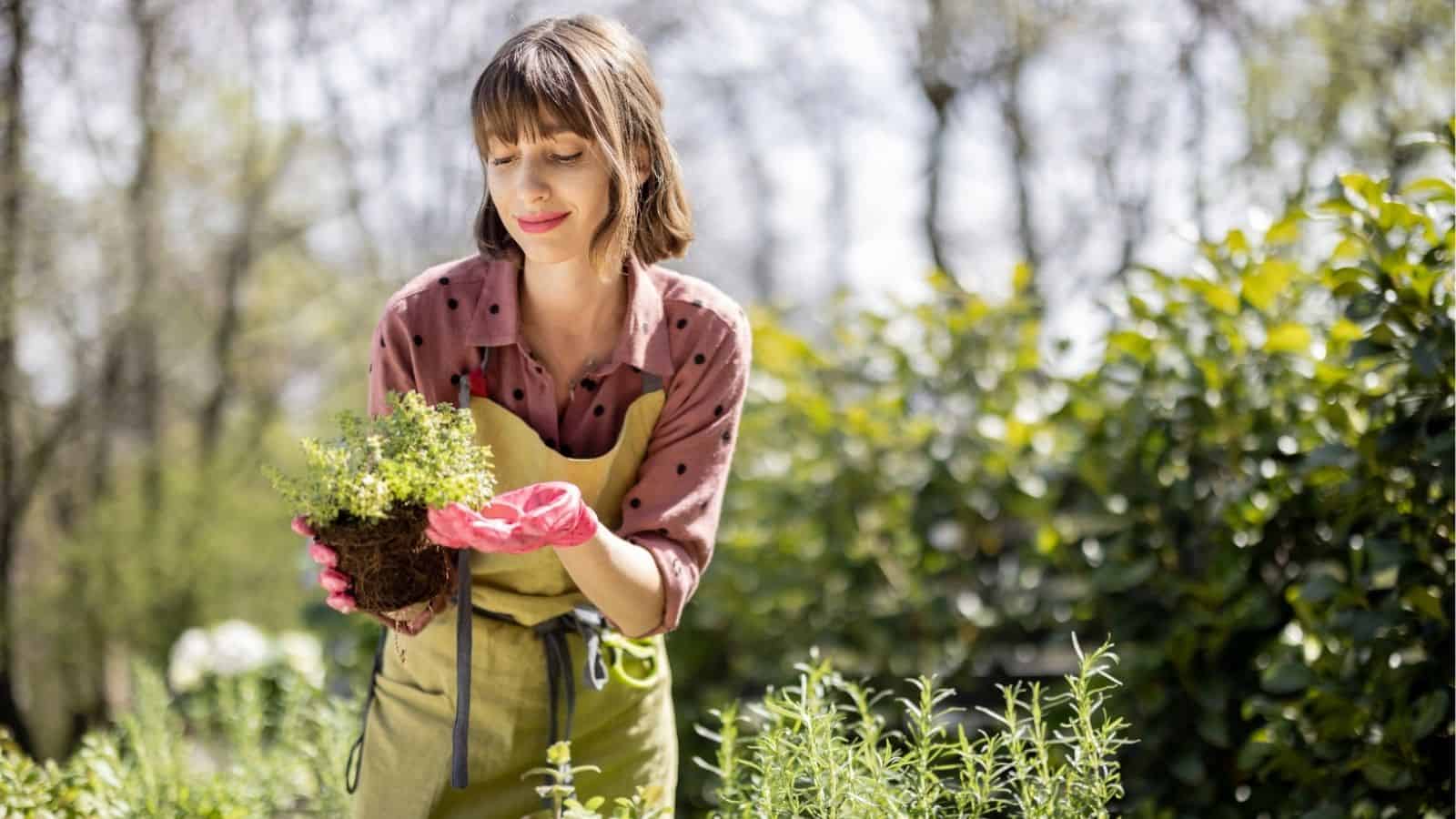11 Fast-Growing Crops for Impatient Gardeners