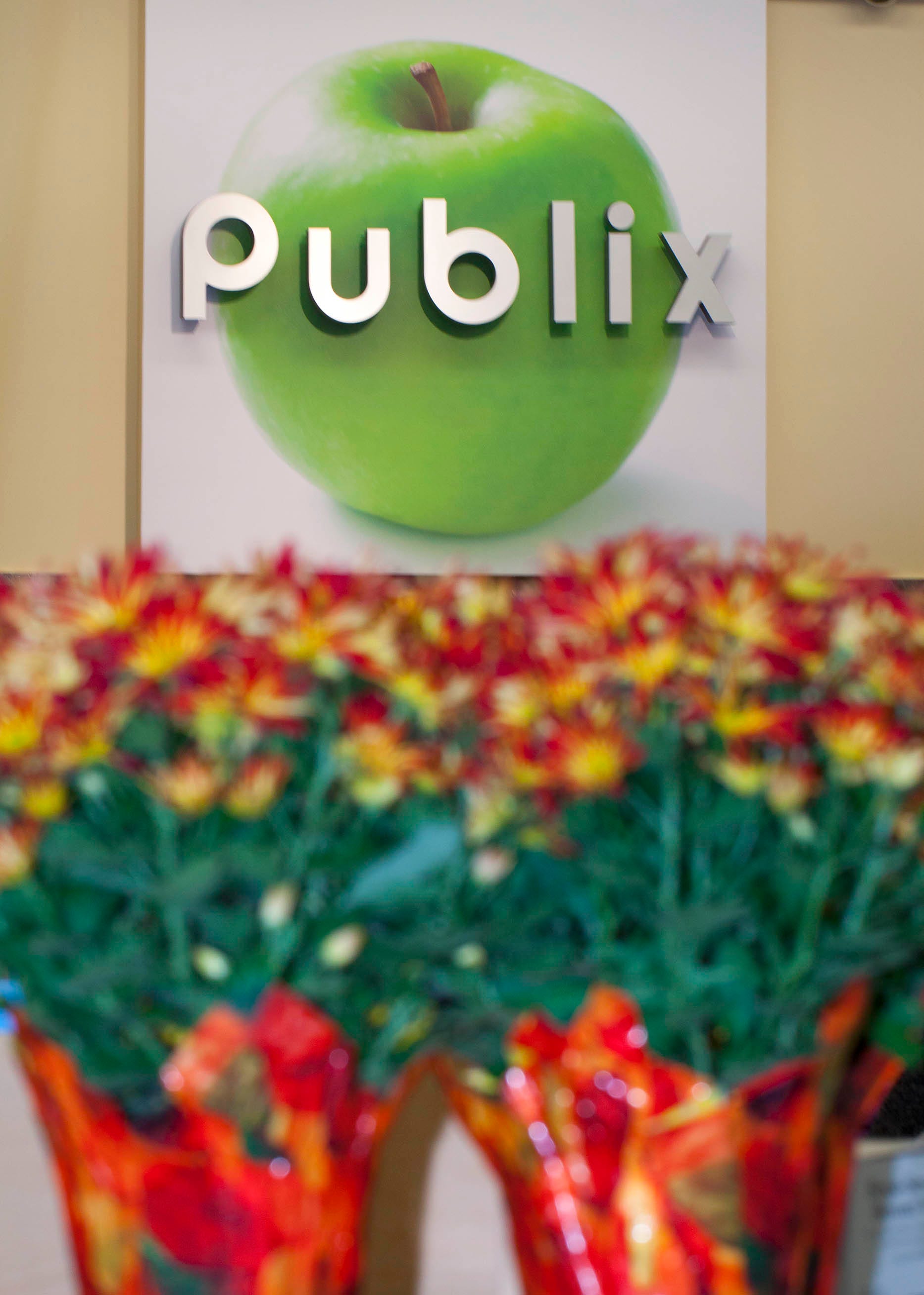 Publix sold Powerball, Mega Millions tickets worth $1 billion: A look back