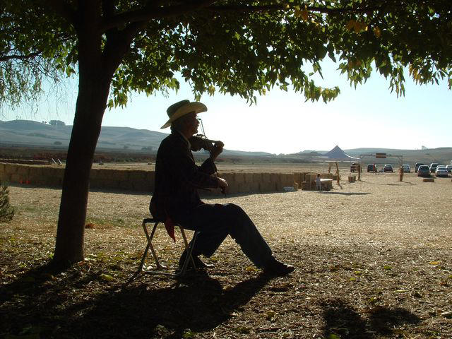 What's A Fiddle? Everything You Need To Know About The Violin's ...