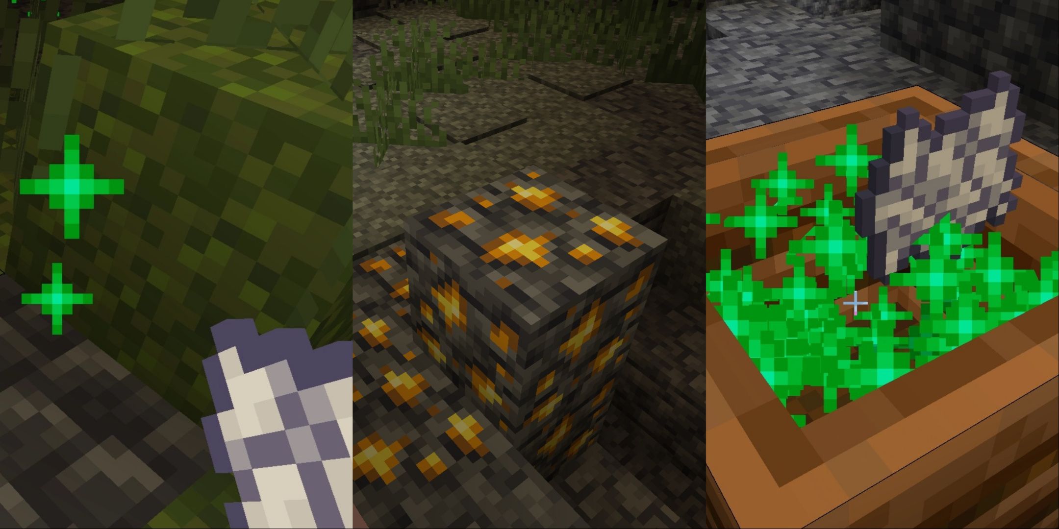 How To Find And Use Moss In Minecraft