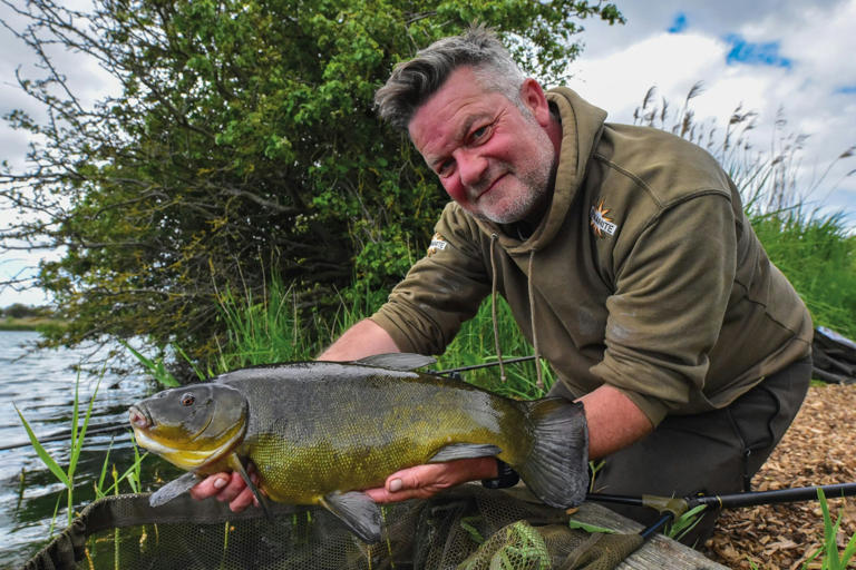 Tips for catching specimen bream and tench