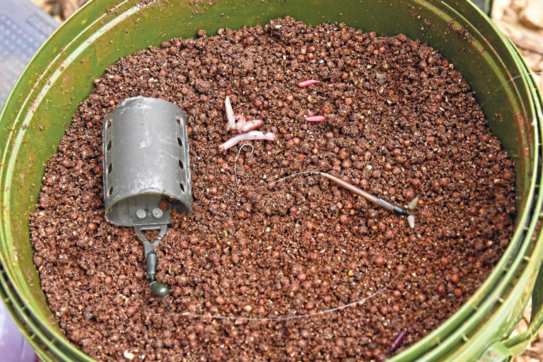 Tips for catching specimen bream and tench