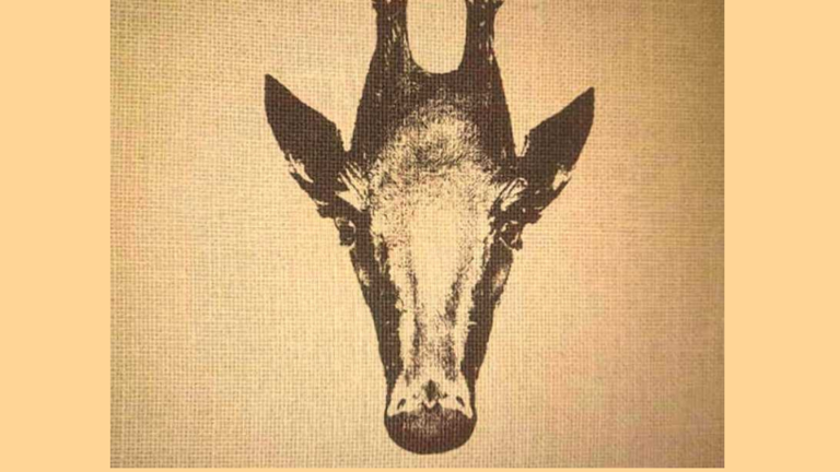 Optical Illusion: You are super observant if you can spot the penguin ...