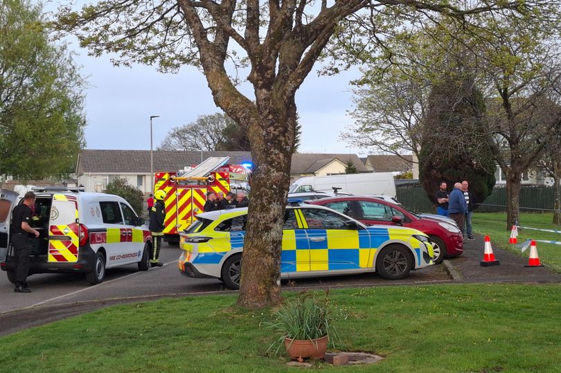 Police swarm Devon street after crash