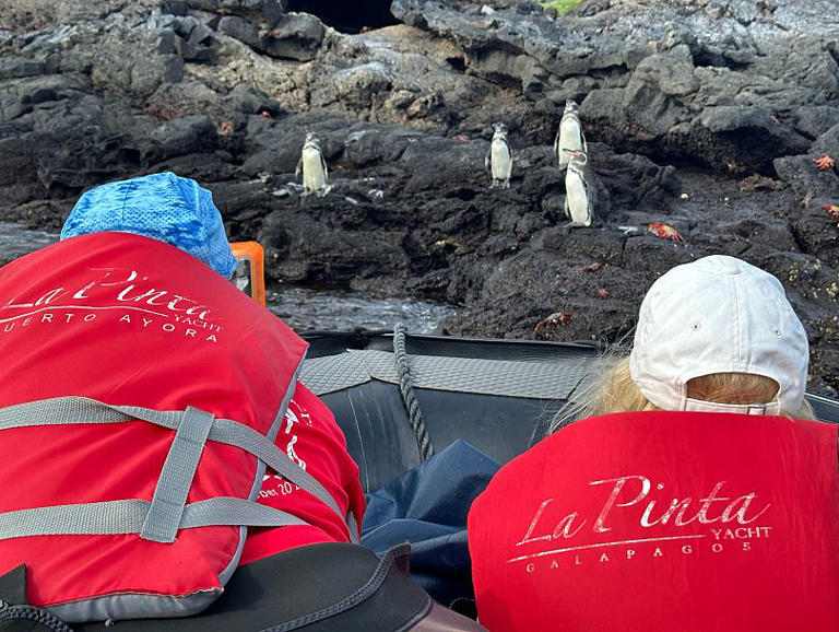 This sustainable Galapagos cruise showed me a side of the islands ...