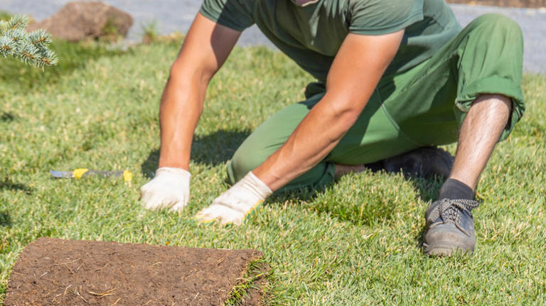 What To Consider When Landscaping Your Front Yard's Park Strip
