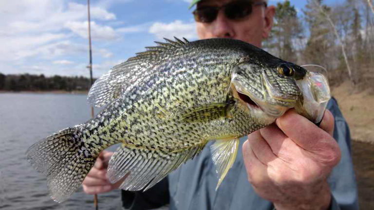Spring Crappie Fishing Guide: How to Catch Spawning Slabs in Shallow Water