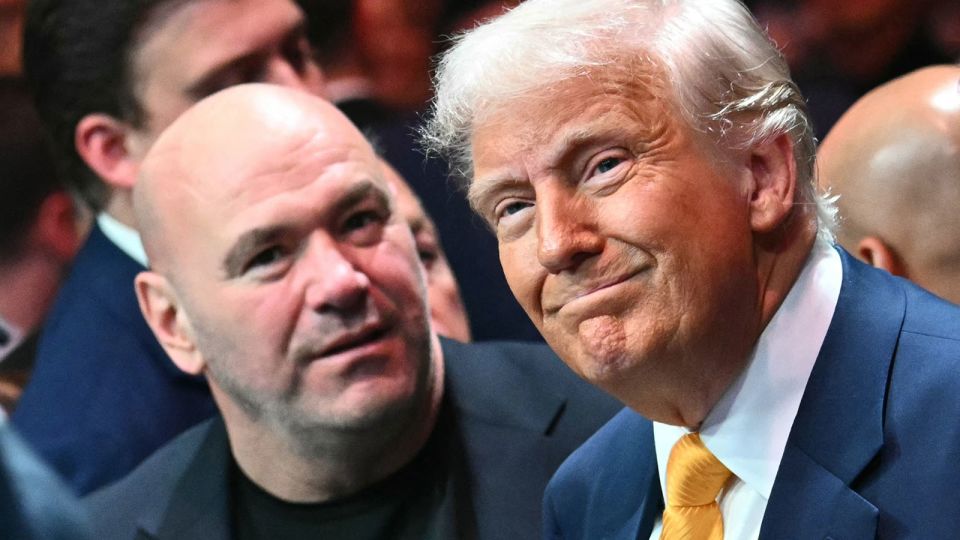 Comics like Tim Dillon helped Trump reach young men. Democrats want in ...