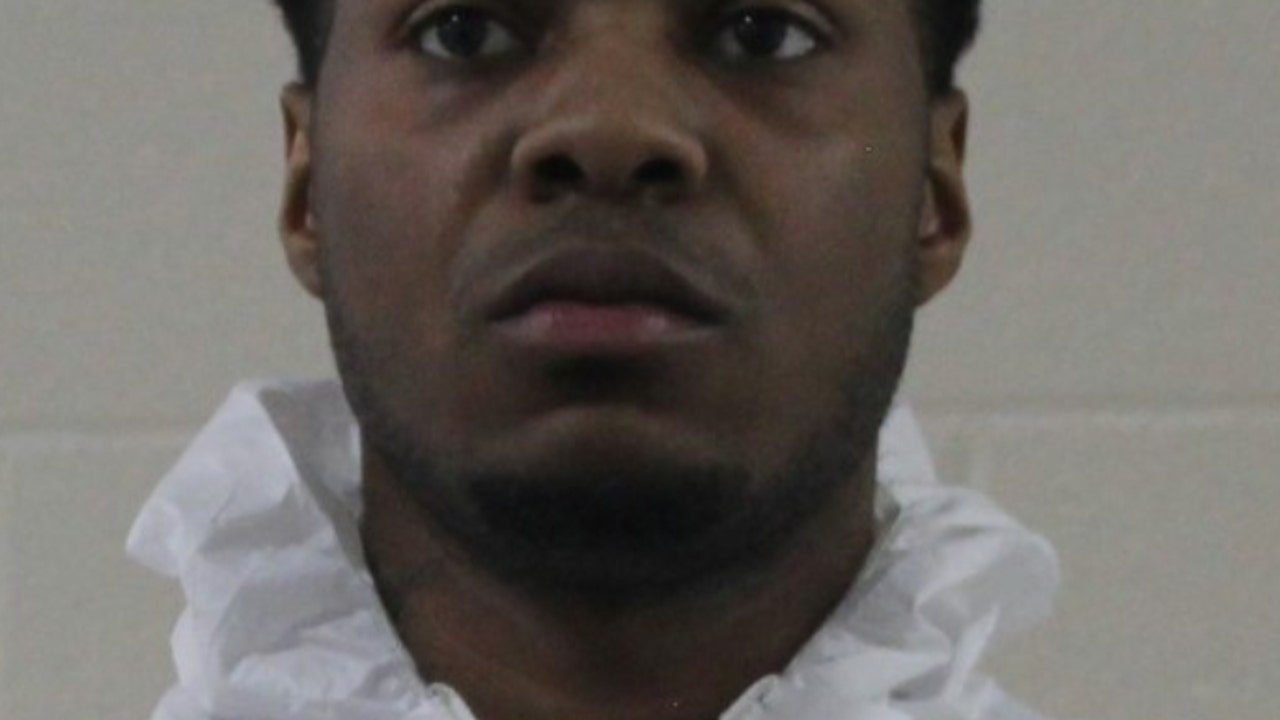 Warner Robins man sentenced to life for malice murder in Michaela ...