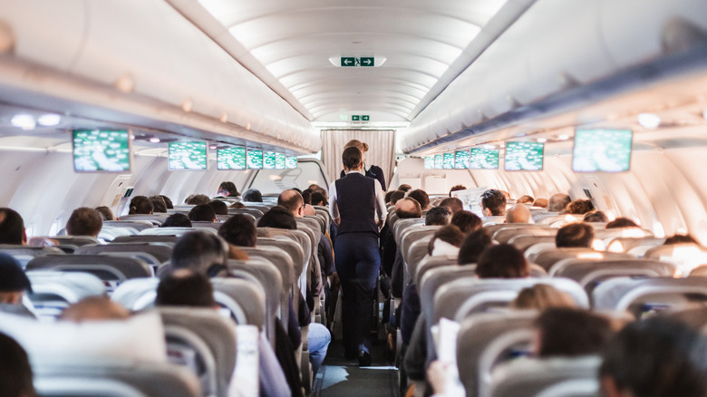 12 Weird Things You Can Bring On A Plane