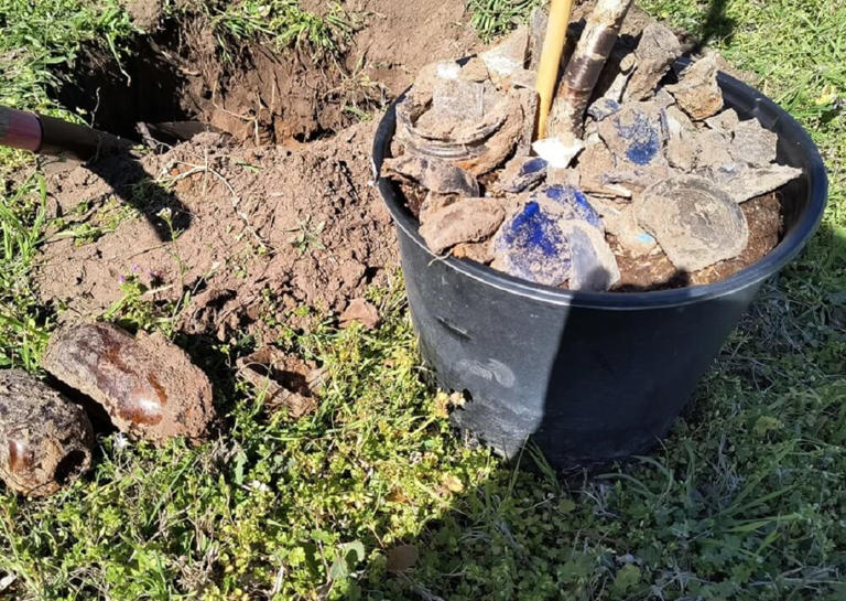 New homeowner horrified after discovering previous owner's massive ...