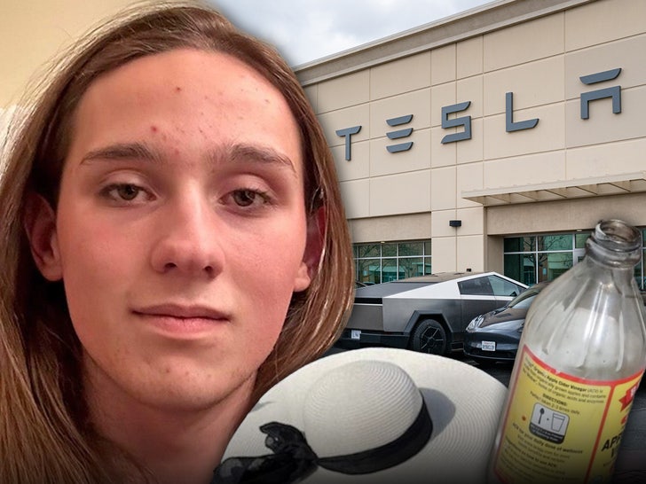 University of Massachusetts Student Charged With Firebombing Tesla ...