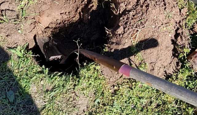 New homeowner horrified after discovering previous owner's massive ...