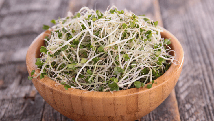 9 Health Benefits of Sprouts