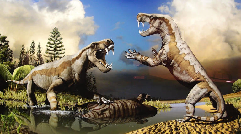 Paleontologists discover ancient fossil from the oldest known saber ...