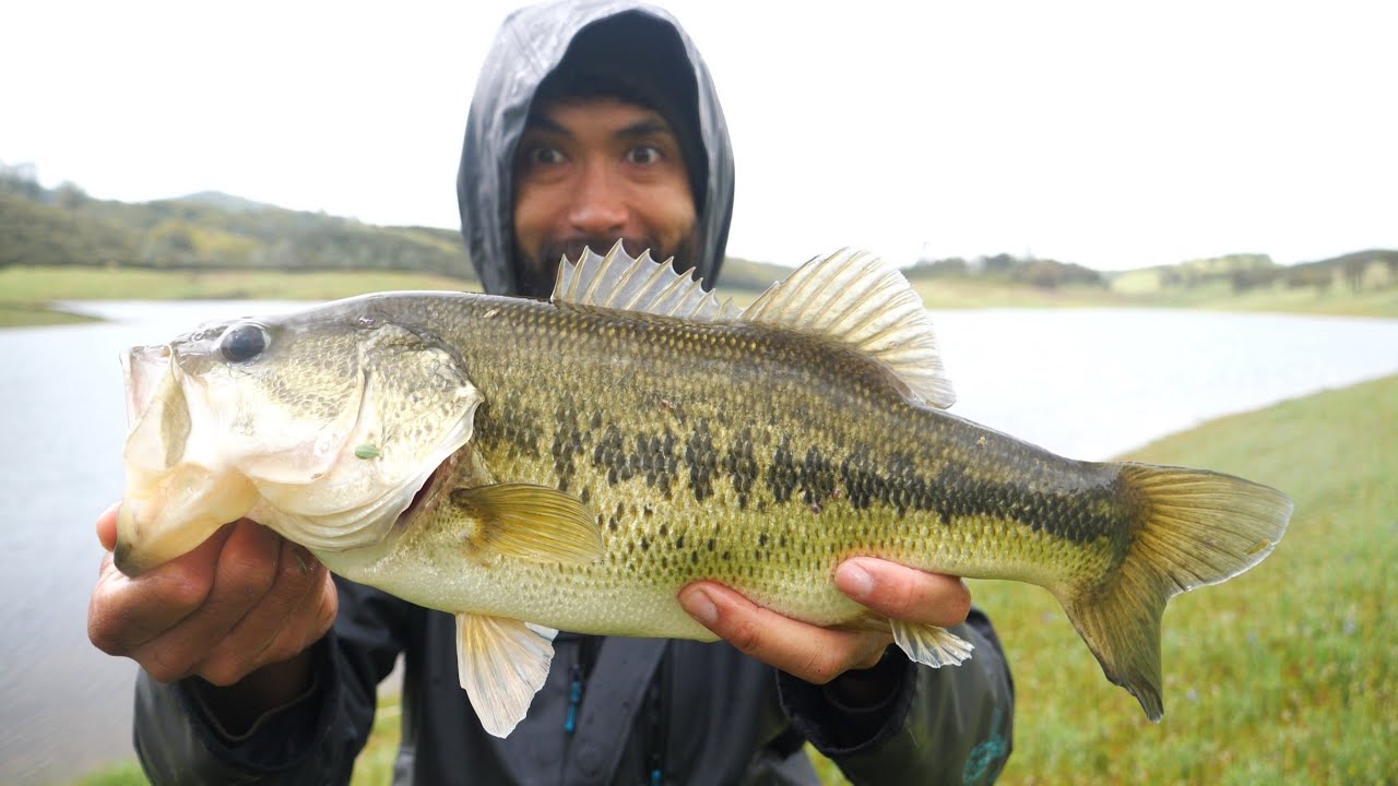 BASS Catch and Cook! They keep getting BIGGER!!!