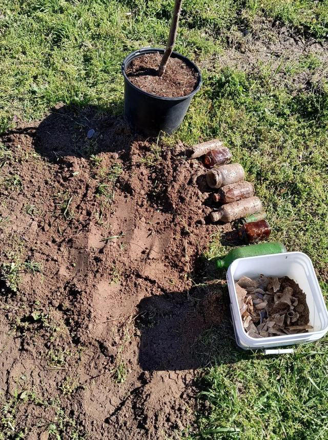 New homeowner horrified after discovering previous owner's massive ...