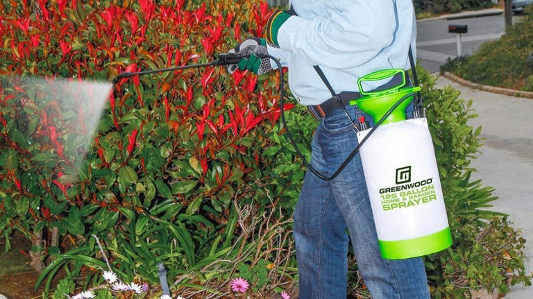 The Affordable Harbor Freight Tool That's Great For Managing Weeds ...