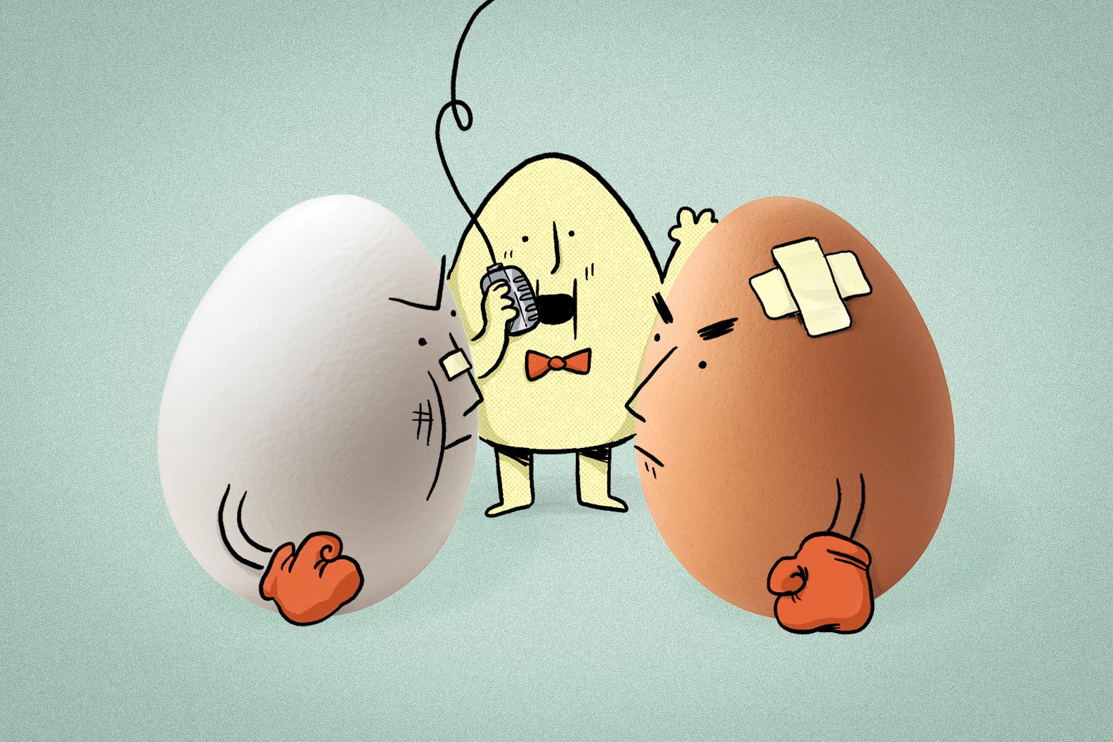 If You Want to Save Money on Eggs, It Might Be Time to Stop Buying Into ...