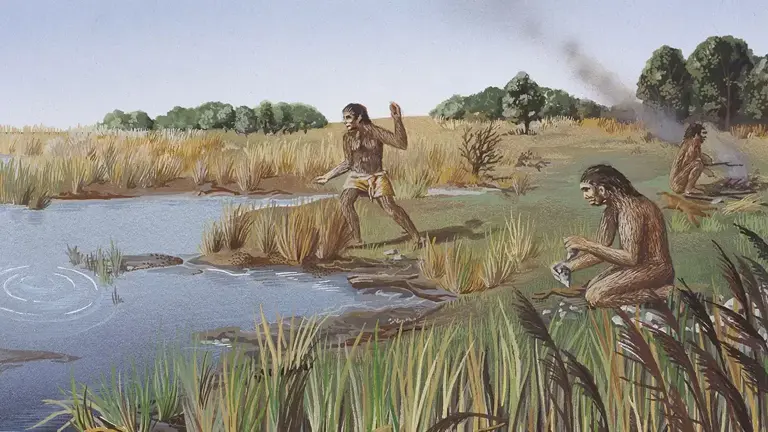 Human ancestors nearly went extinct 930,000 years ago