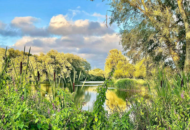 Fishing near me | Venues with easy access