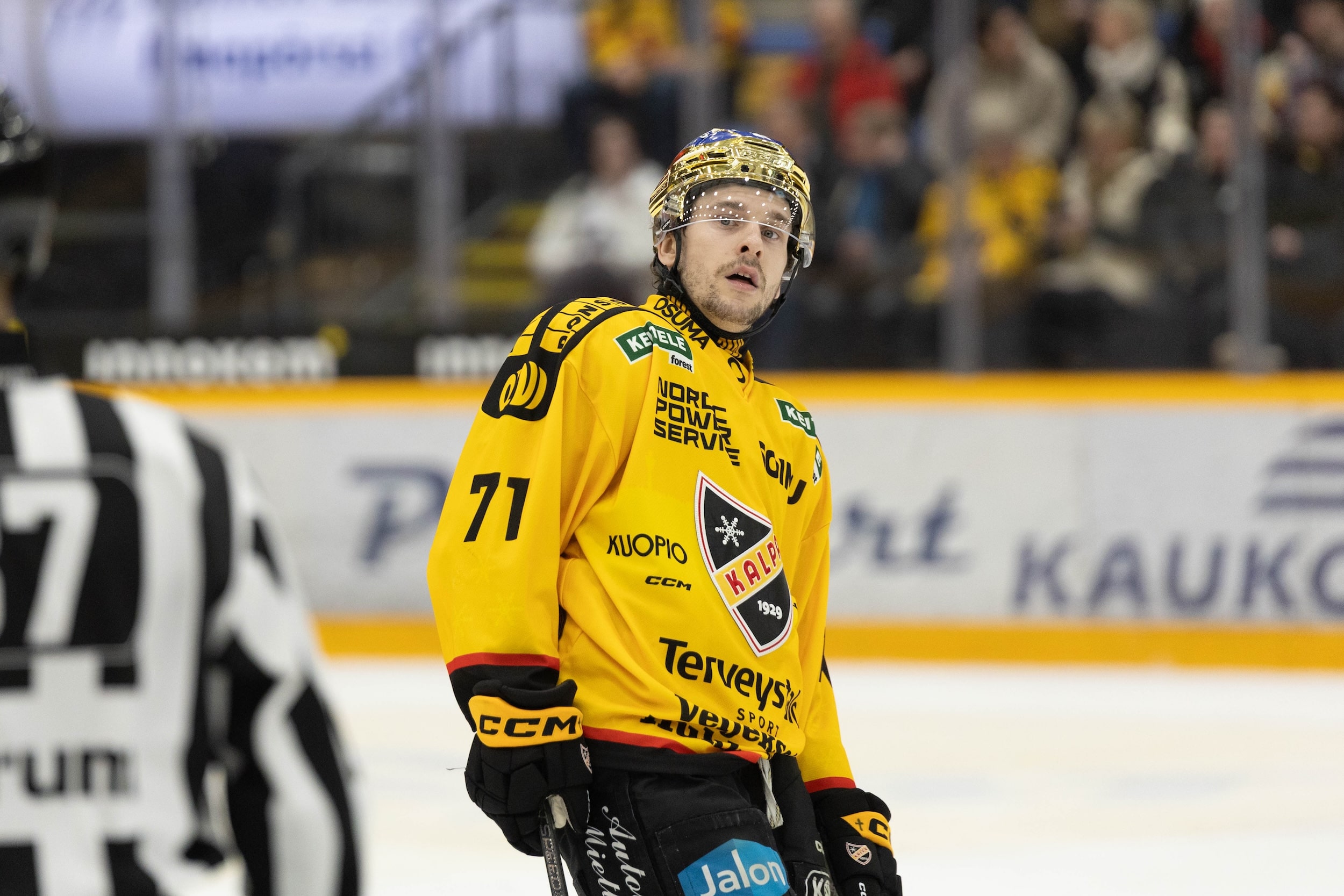 IS: KalPa-tähti latasi tylyä tekstiä tamperelaisista ihmisistä