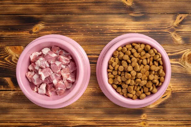 Raw vs. Kibble: Which Dog Food Reigns Supreme?