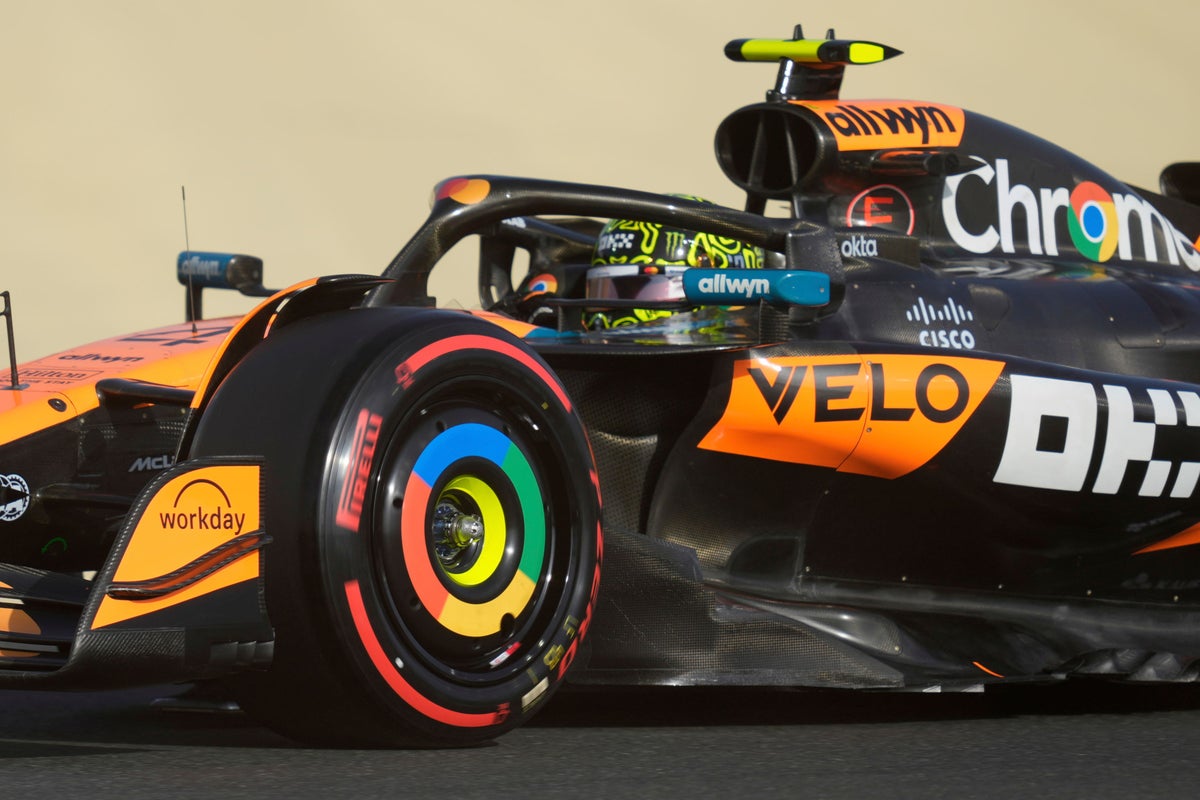 Lando Norris edges out McLaren team-mate Oscar Piastri in final practice