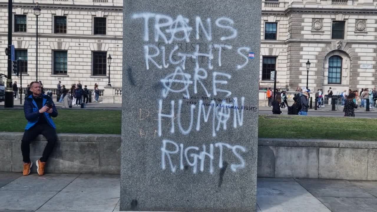 Trans activists make their mark in Parliament Square as trans flag is ...