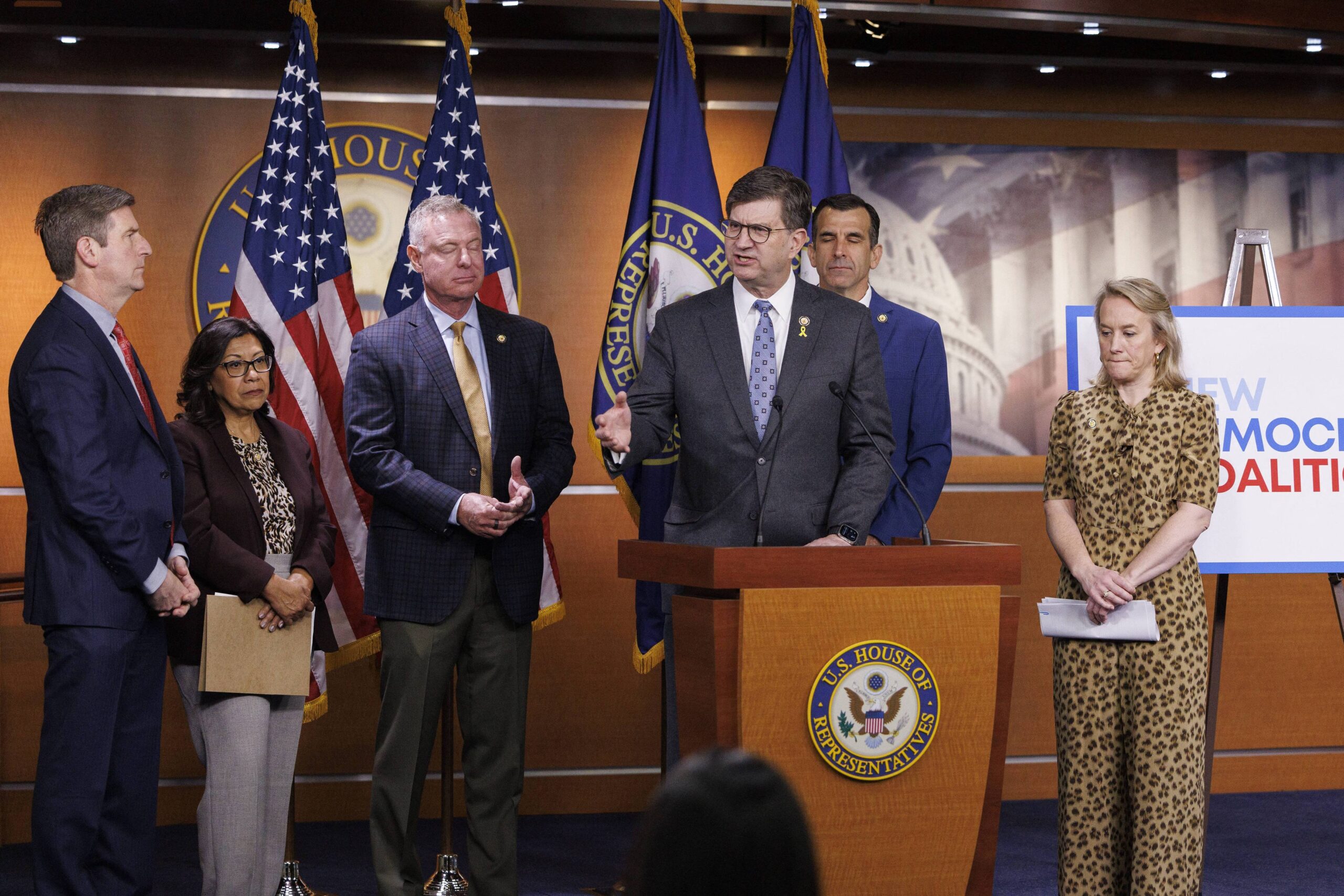 ‘Deeply Concerning’: Democrats’ Plan Against DOGE