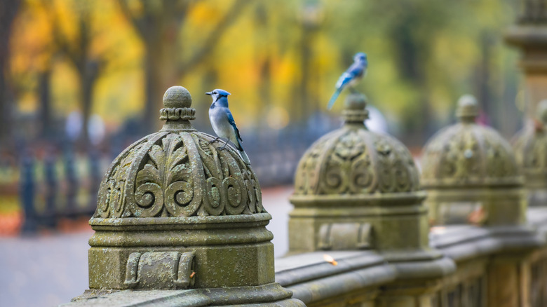 The Popular New York Destination To Spot Over A Quarter Of America's ...